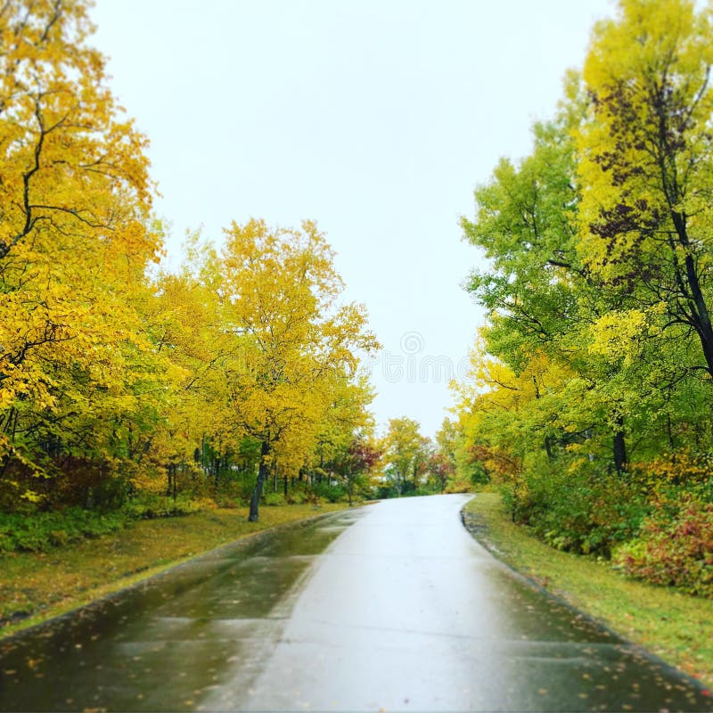 Autumn Drive Fall Colors Alaska Mountain Highway Transportation Stock ...