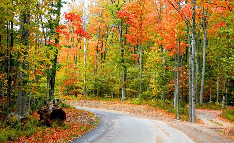 Autumn Drive Way stock image. Image of scene, michigan - 3578793