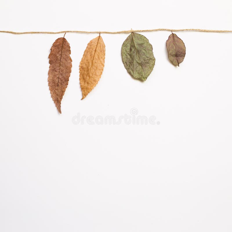 415 Autumn Leaves Hanging String Stock Photos - Free & Royalty-Free ...