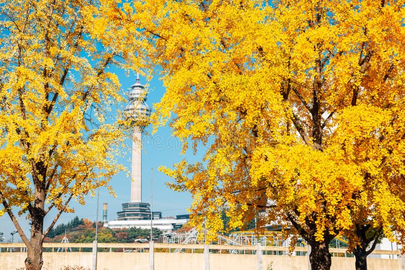 Autumn of Duryu Park in Daegu, Korea Stock Photo - Image of colorful ...