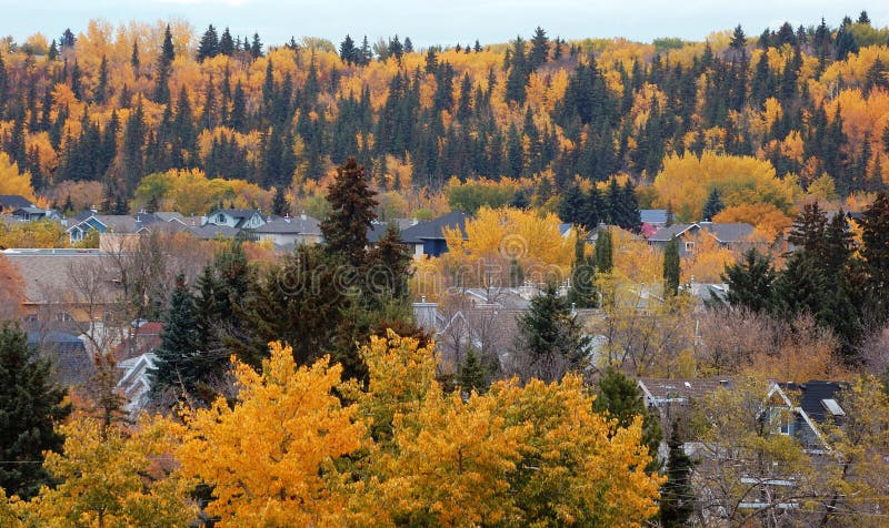 Autumn Riverside Scene in Edmonton Stock Photo - Image of nature, dusk ...