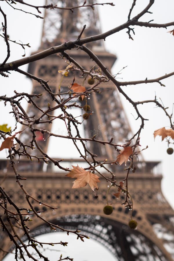 Autumn at the Eiffel Tower in the Rain in Paris Stock Photo - Image of ...