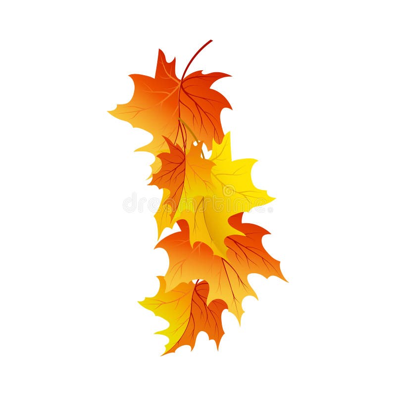 Autumn Element stock vector. Illustration of foliage - 255303187