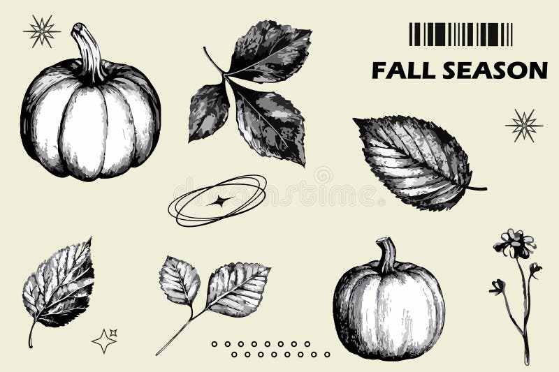 Autumn Fall Season Elements Set with Pumpkin, Herbarium Leaves with ...