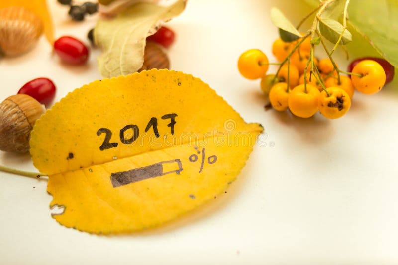 Autumn emotions stock photo. Image of outdoor, orange - 99308158