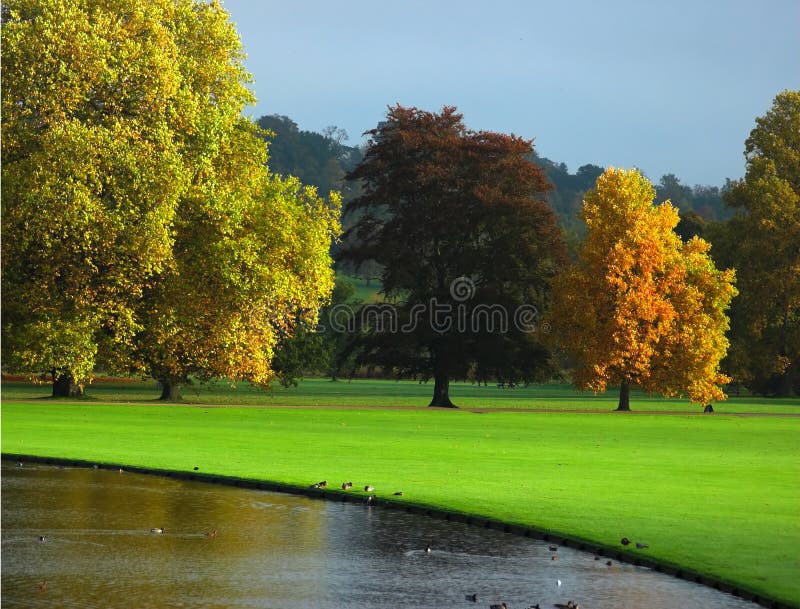 Autumn in England stock photo. Image of natural, morning - 308662
