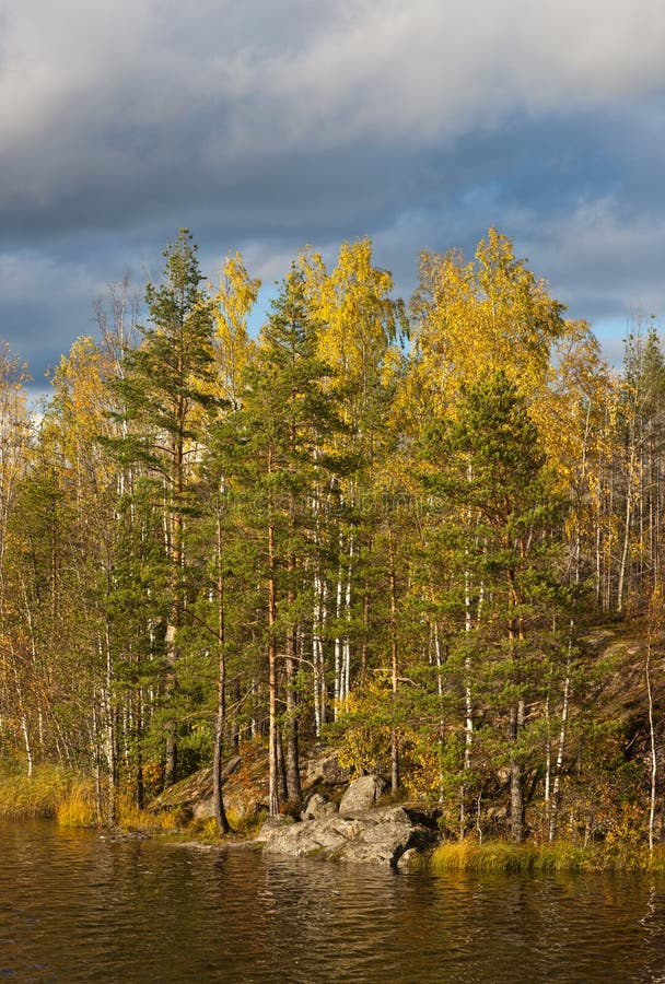 Autumn evening stock image. Image of leaves, shore, trees - 22613519