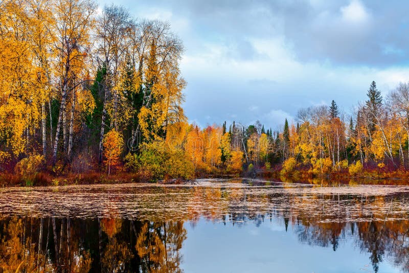 Autumn in Siberia stock image. Image of natural, beauty - 28197619