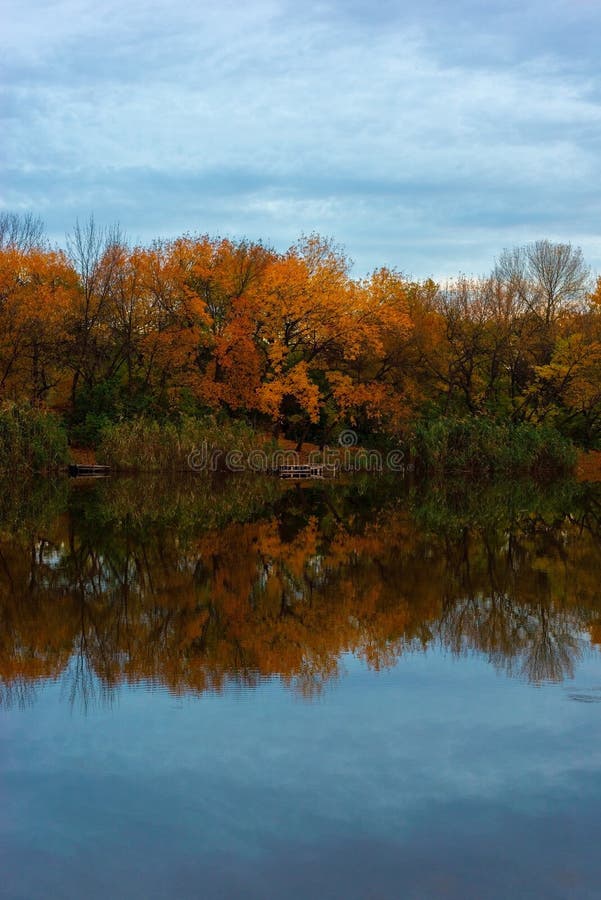 Autumn Evening Landscape of Trees in the Reflection of the River. Gold ...