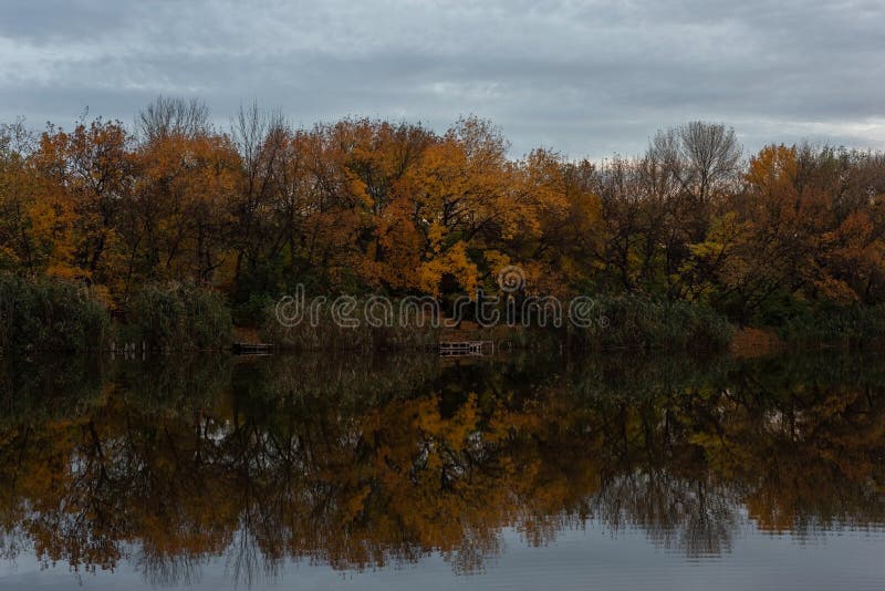 Autumn Evening Landscape of Trees in the Reflection of the River. Gold ...