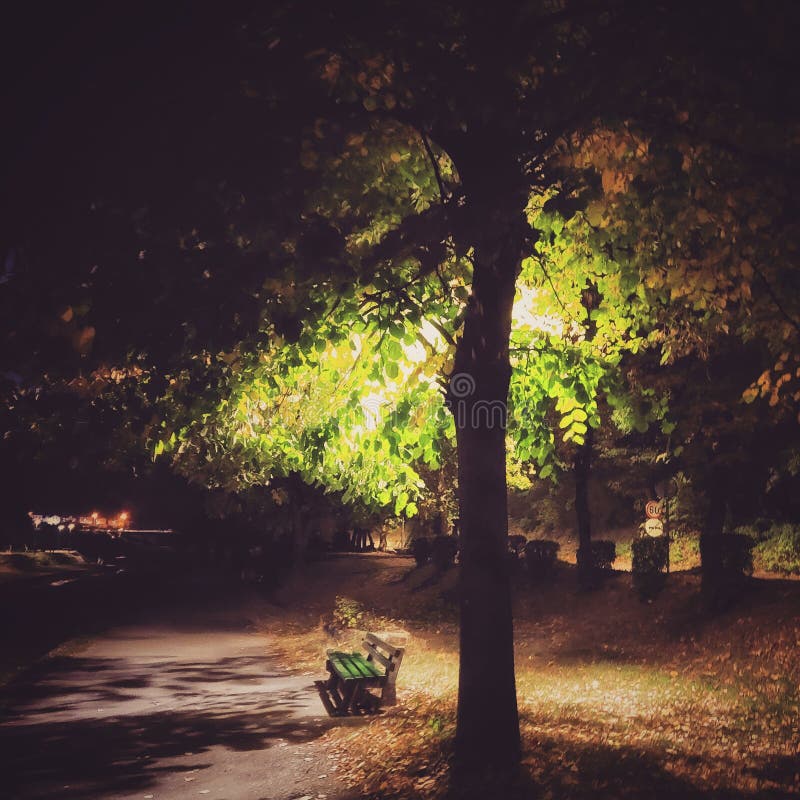 A Banch Under Lantern Light Stock Image - Image of dusk, banch: 260648453