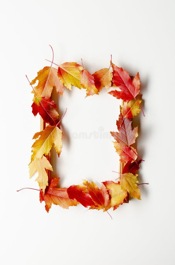 Autumn, Fall Background. Autumn Concept. Autumn Leaves with Frame Stock ...