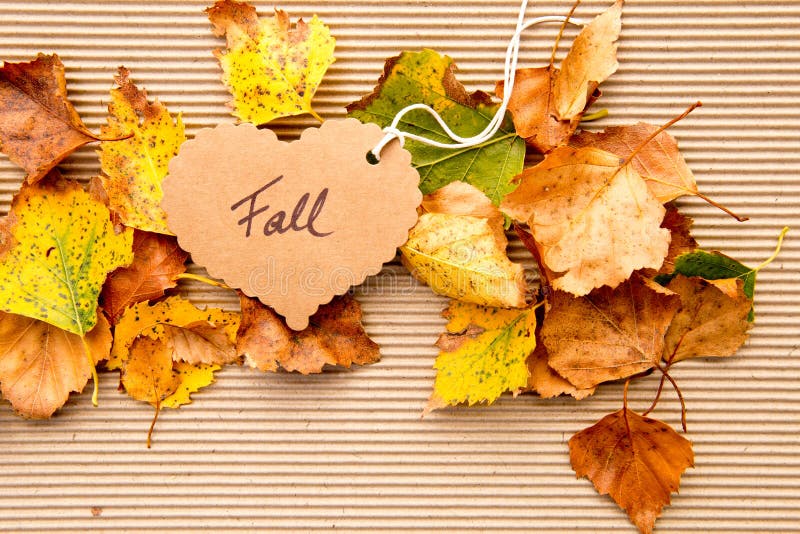 972 Heart Shaped Fall Leaf Stock Photos - Free & Royalty-Free Stock ...