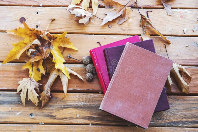Autumn Fall Background with Maple Leaves and Books Stock Image - Image ...
