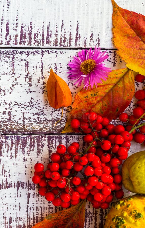 Autumn Fall Background Table Setting Background Vegetables Fruit Stock ...