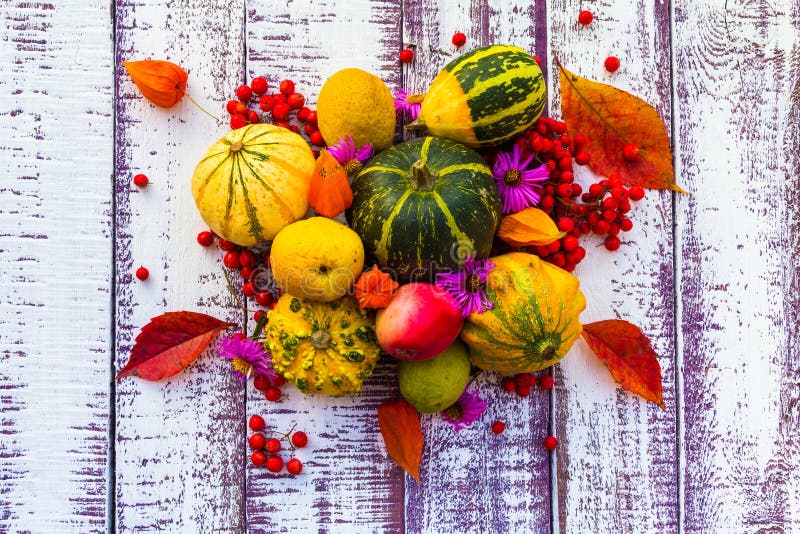 Autumn Fall Background Table Setting Background Vegetables Fruit Stock ...