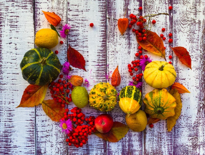 Autumn Fall Background Table Setting Background Vegetables Fruit Stock ...