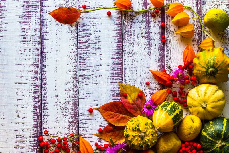 Autumn Fall Background Table Setting Background Vegetables Fruit Stock ...