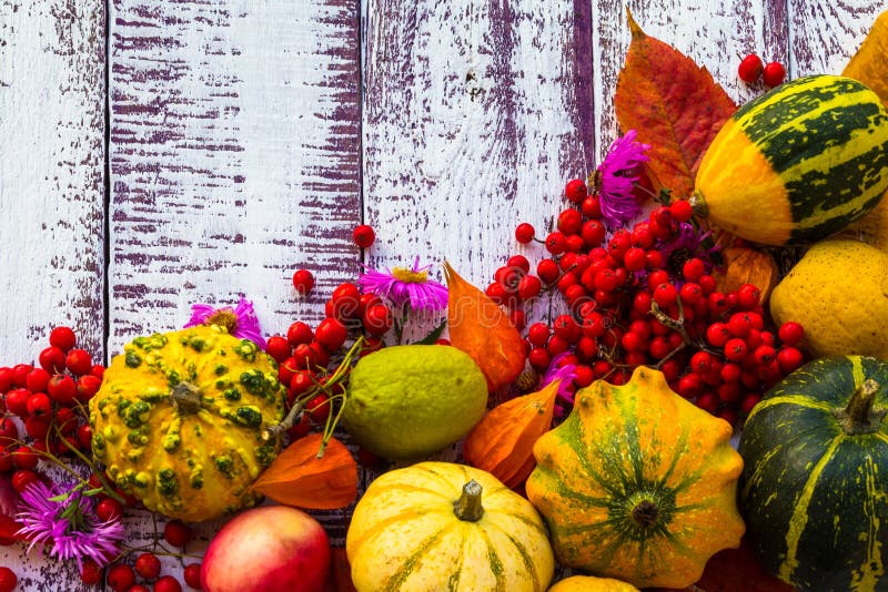 Autumn Fall Background Table Setting Background Vegetables Fruit Stock ...