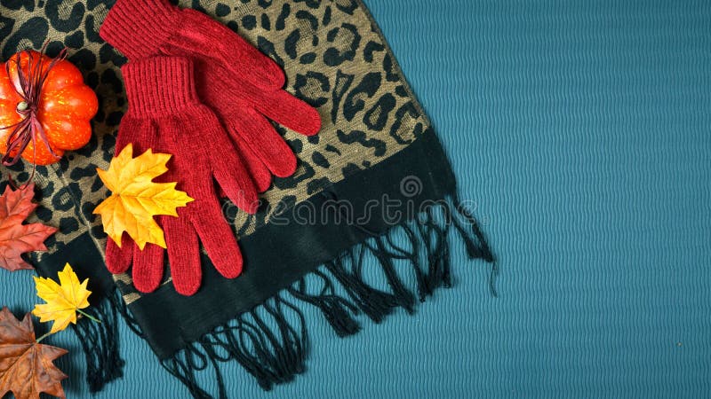 Autumn Fall Bright Colours Theme Flatlay Overhead. Stock Image - Image ...