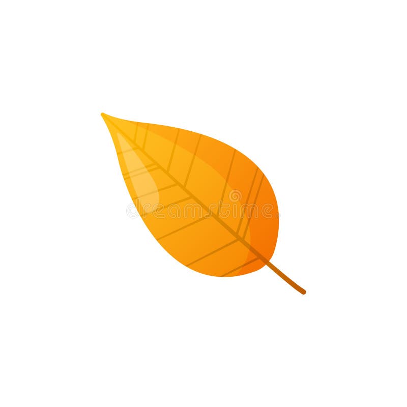 Autumn fall colorful leaf. stock vector. Illustration of foliage ...