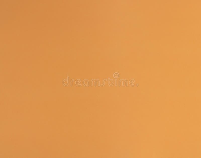 Autumn Concept Pumpkin and Leaves on Solid Orange Background for the ...