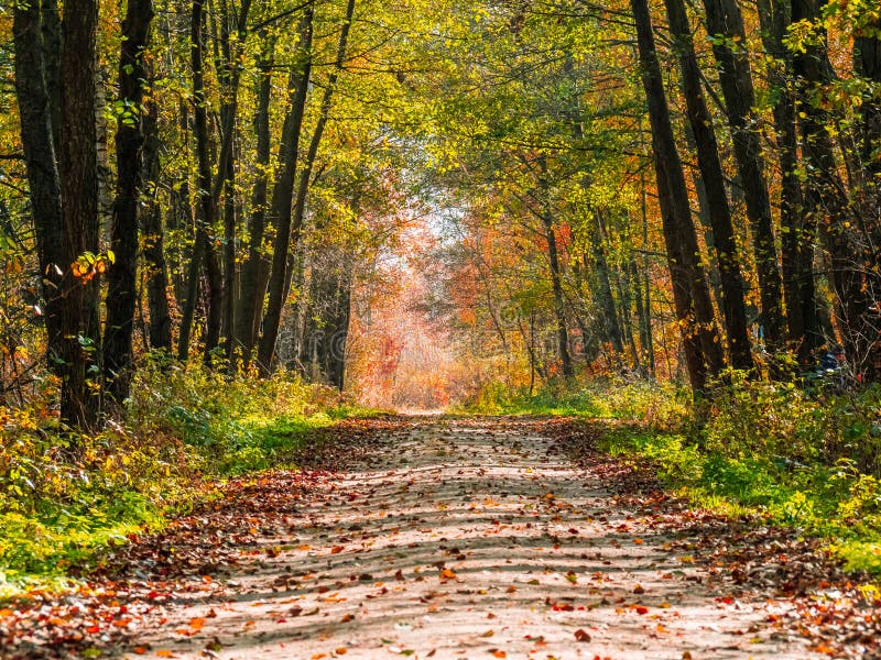 Fall Country Road stock photo. Image of trees, roads, colors - 1439324