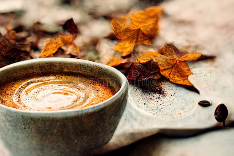 Autumn, Fall Cup of Coffee, Latte Surrounded by Leaves Stock Photo ...