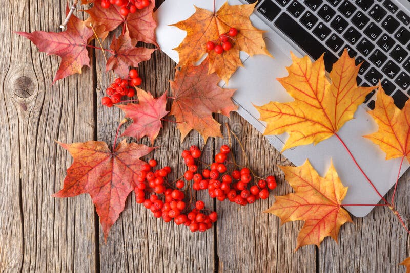 Autumn Fall Flat Lay, Top View Home Office Table Desktop Stock Photo ...