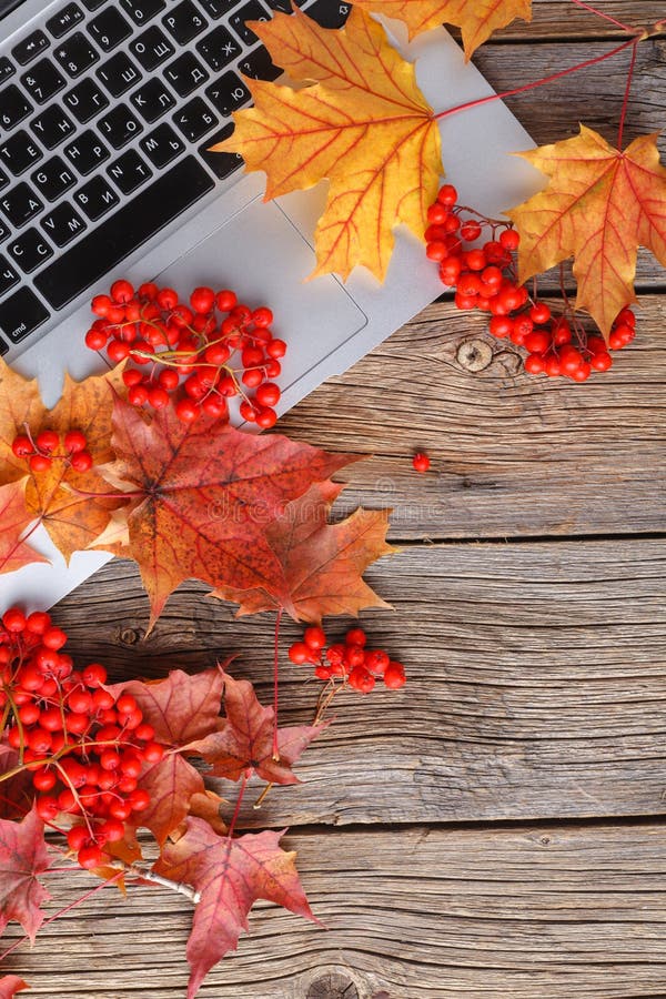 Autumn Fall Flat Lay, Top View Home Office Table Desktop Stock Image ...