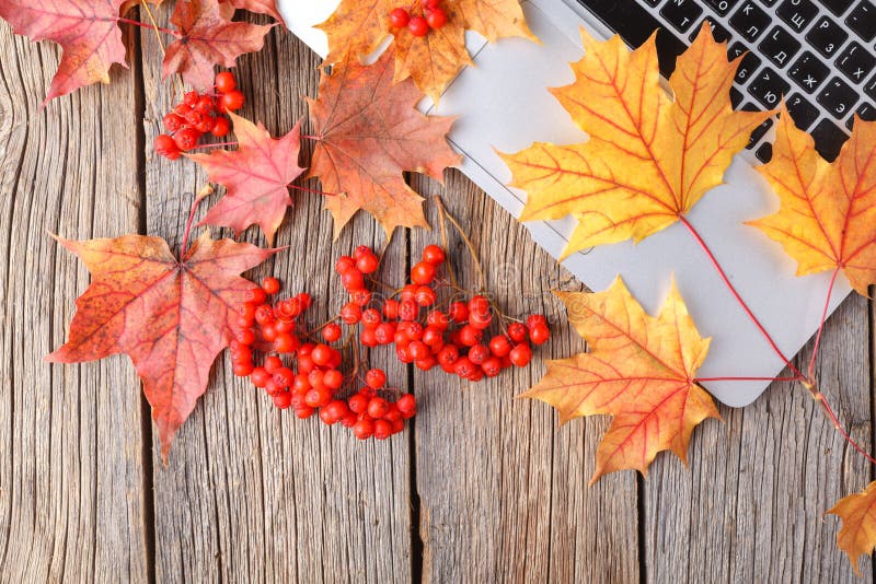 Autumn Fall Flat Lay, Top View Home Office Table Desktop Stock Image ...