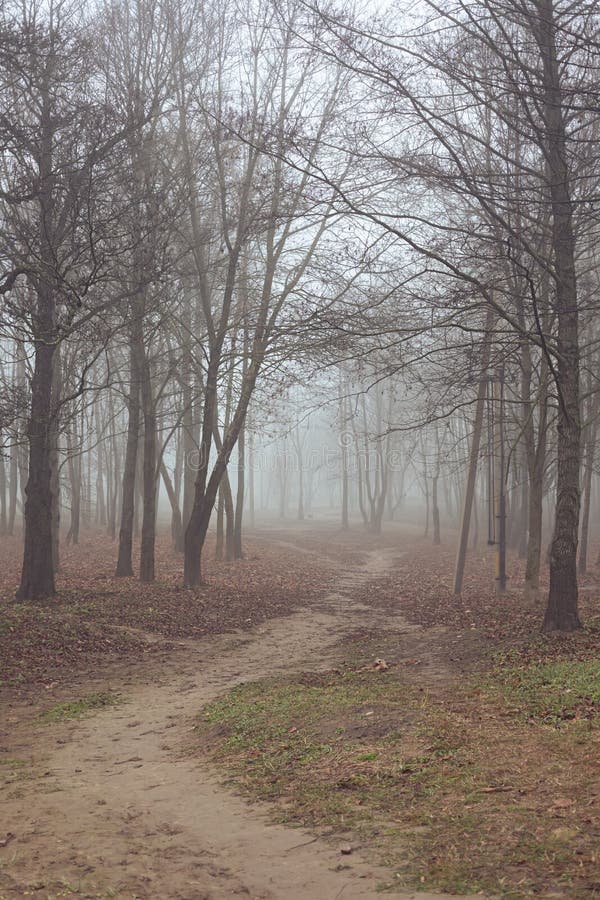 Autumn Fall Foggy Landscape with Path in the Park. Stock Image - Image ...