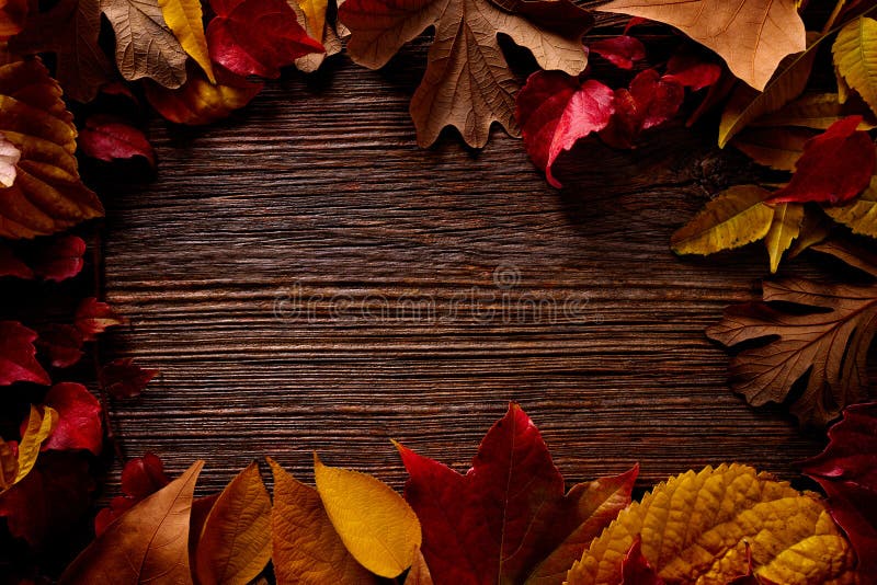 233,166 Golden Orange Red Autumn Stock Photos - Free & Royalty-Free ...