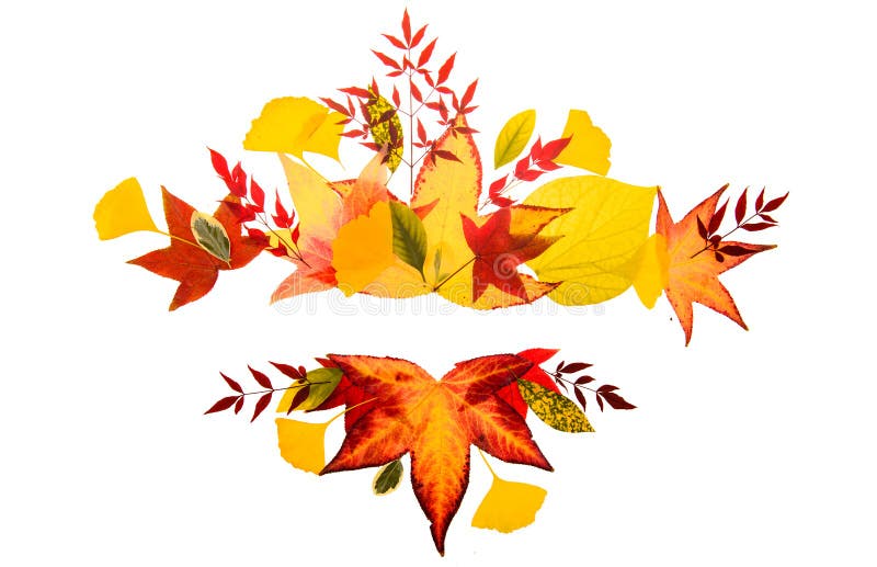 Autumn Fall Frames Borders. Fall Leaf Banner. Thanksgiving Background ...