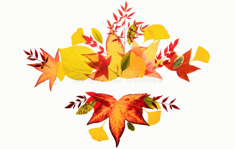Autumn Fall Frames Borders. Fall Leaf Banner. Thanksgiving Background ...