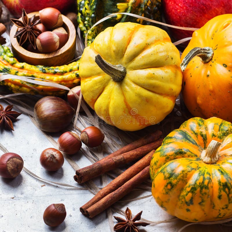 Autumn Fall Halloween Still Life Composition with Pumpkin Nuts Chestnut ...