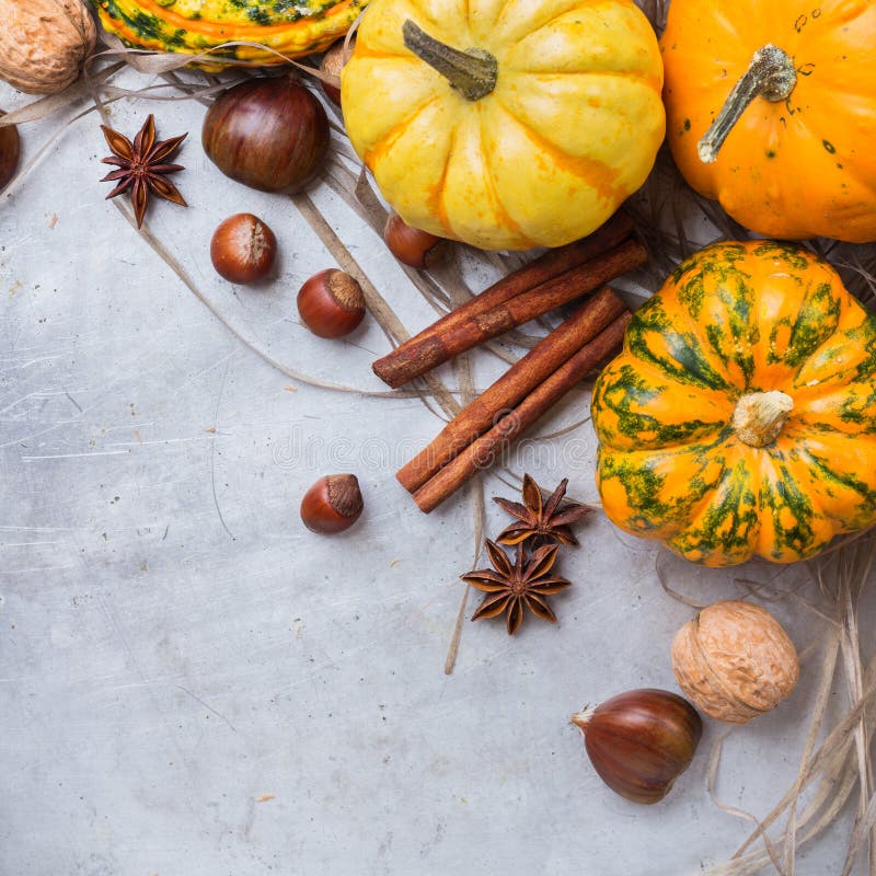 Autumn Fall Halloween Still Life Composition with Pumpkin Nuts Chestnut ...