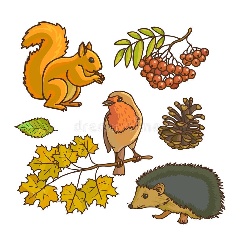Autumn or Fall Icon and Objects Set for Design. Stock Vector ...
