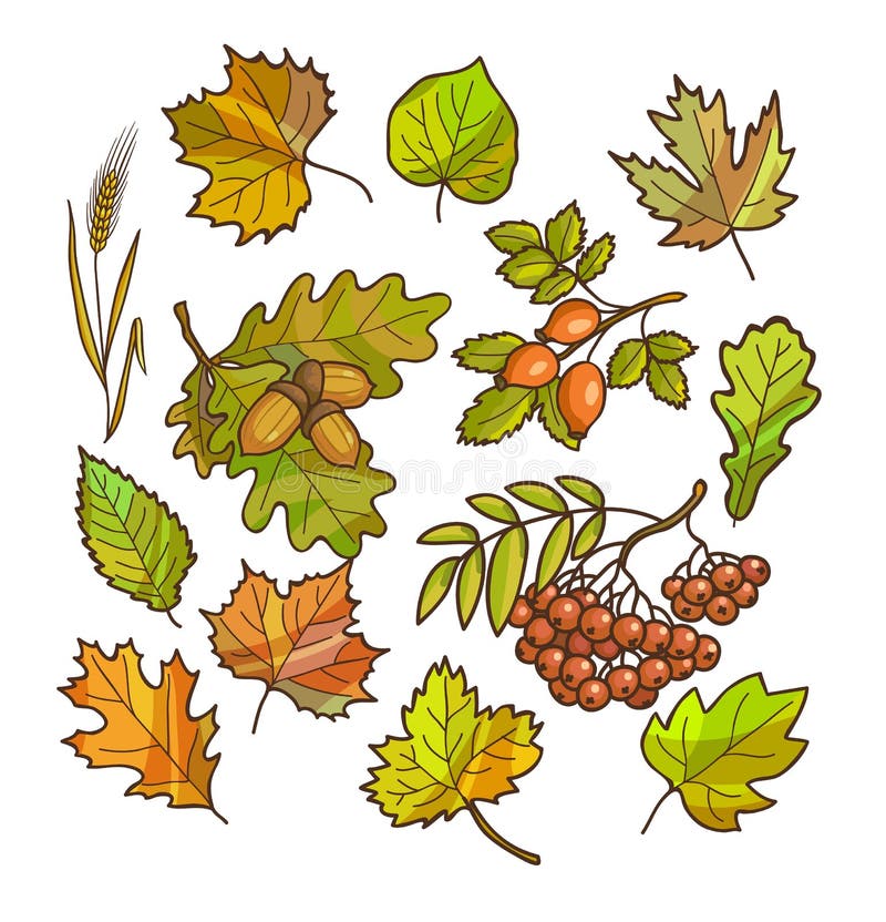 Autumn or Fall Icon and Objects Set for Design. Stock Vector ...