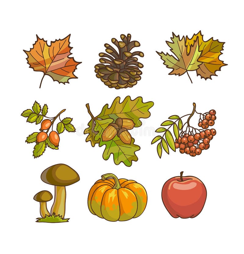 Autumn Or Fall Icon And Objects Set For Design Stock Vector