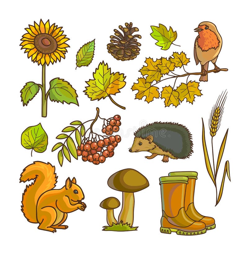 Autumn or Fall Icon and Objects Set for Design. Stock Vector ...