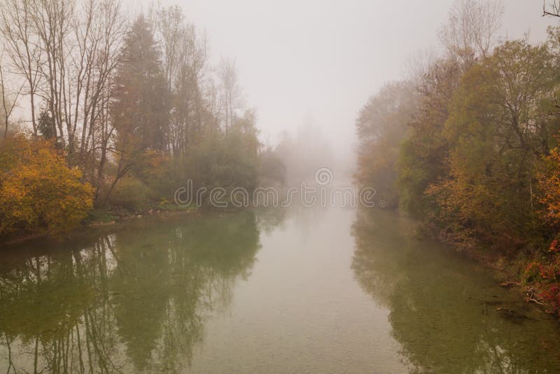 Autumn misty forest stock image. Image of green, forest - 26668017