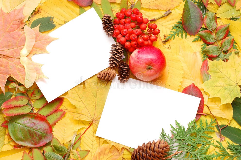 Autumn fall leaf frame stock photo. Image of message - 11008808