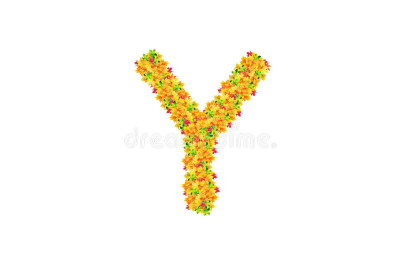Autumn Fall Leaves Alphabet Y, Alphabet of Autumn Leaves, Letter Made ...