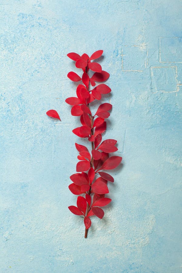 Autumn Fall Leaves on Blue Plaster Stucco Texture Stock Photo - Image ...