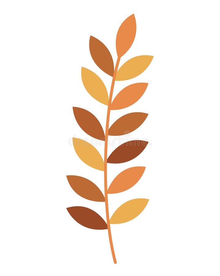 Autumn Fall Leaves, Forest Design Elements Illustration Stock Vector ...