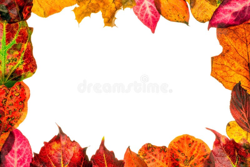 Autumn Fall Leaves Frame Border Stock Image - Image of autumn, detail ...