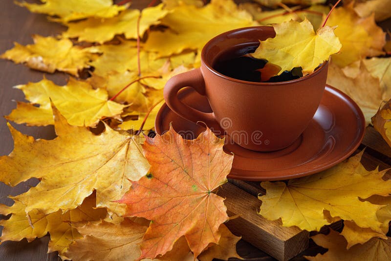 Autumn, Fall Leaves, Hot Steaming Cup of Coffee and a Warm on Table ...