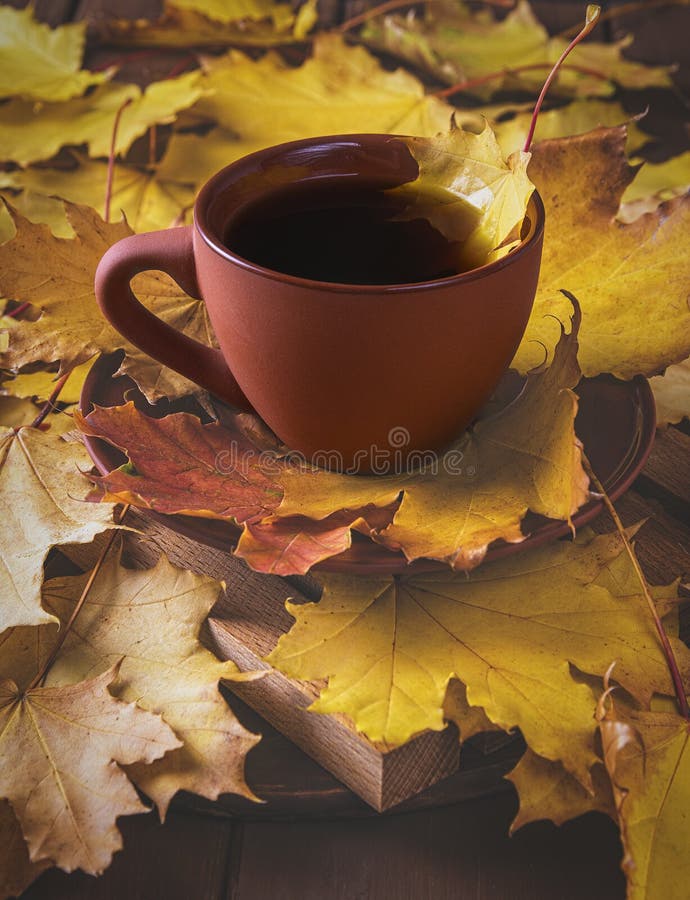 Autumn, Fall Leaves, Hot Steaming Cup of Coffee and a Warm on Table ...
