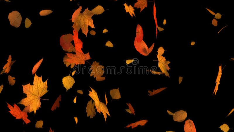 Autumn Fall Leaves on Gradient Background. Blowing Wind and Flying ...